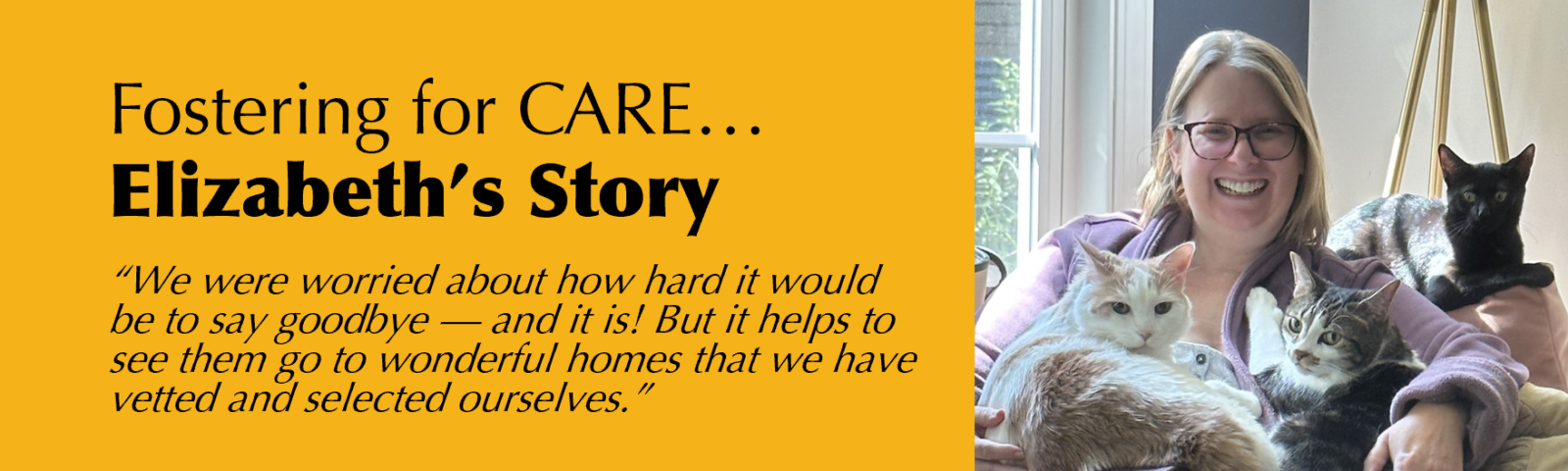 Chatham Animal Rescue – Supporting the cats and dogs of Chatham County, NC.